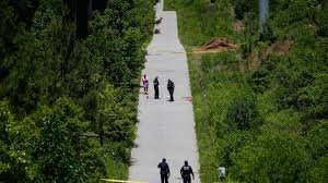 Tragedy on the Atlanta Beltline: Alyssa Paige Fatally Stabbed in Random ...